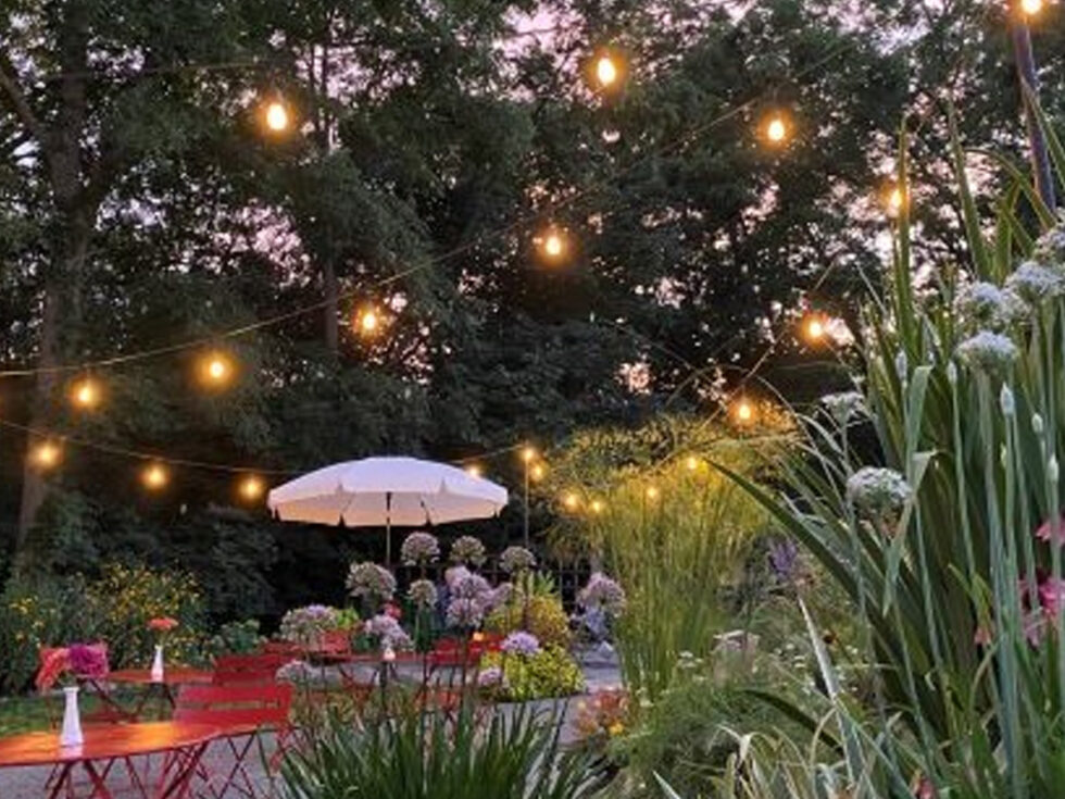 Home - Plant Life Designs